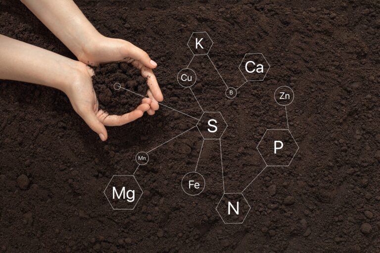 The 5 Components of Healthy Soil | Nature's Select Triangle