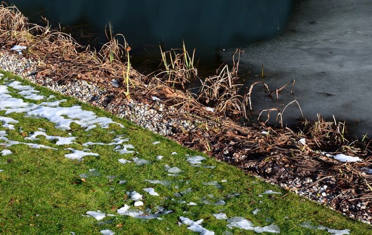 How Snow and Ice Impact Your Lawn | Nature's Select Piedmont